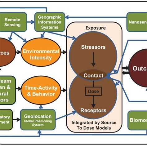 Conceptual Framework Showing The Core Elements Of Exposure Science As Download Scientific