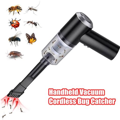 Unit 731 Cockroach Roach Cockroach Bug Vinyl Decal Sticker