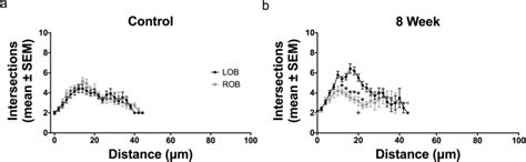 A Modified Sholl Analysis Was Used To Determine The Effects Of Chronic