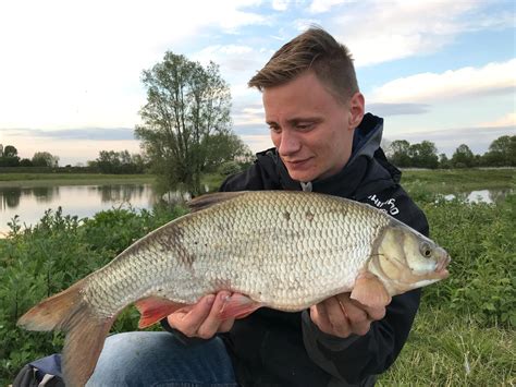 Gericht Vissen Op De Winde Tackleshopnl