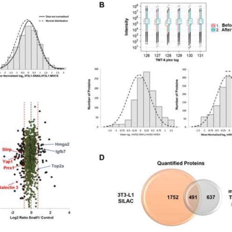 Normalization Of Proteomics Datasets And Quantification Of Proteins In Download Scientific