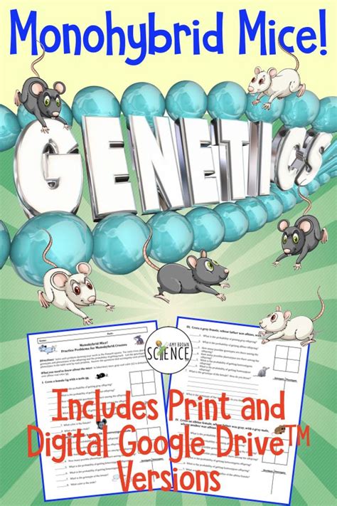 Monohybrid Mice Worksheet Answers Printable Word Searches