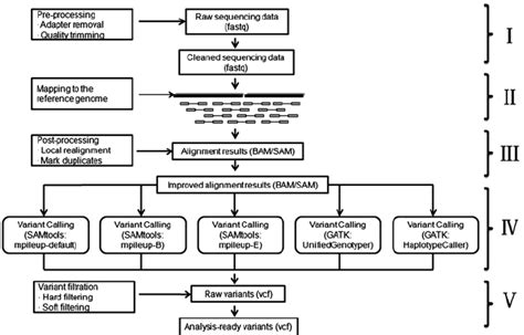 1 Workfl Ows For Variant Calling And Genotype Inference Used In The