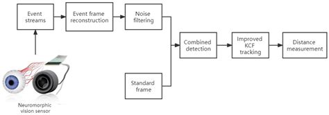 A Neuromorphic Visual Sensor Can Recognize Moving Objects And Predict