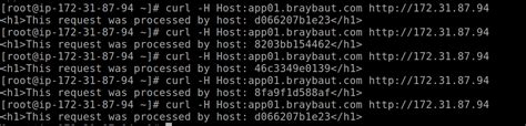 Utilizando Traefik Como Dynamic Reverse Proxy En Docker Swarm Sobre Aws