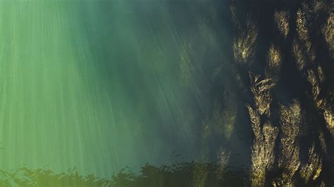 Разследват замърсяване на околната среда край с Калояновец Новини бг