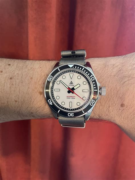 Dwc D001 Fresh Dial And Hands For This Diy Watch Club Diver R