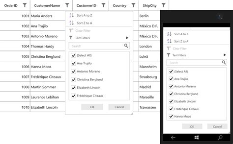 Getting Started With UWP DataGrid Control Syncfusion