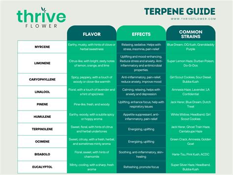 Terpene Chart For Cannabis Terpene Effects Thrive Flower
