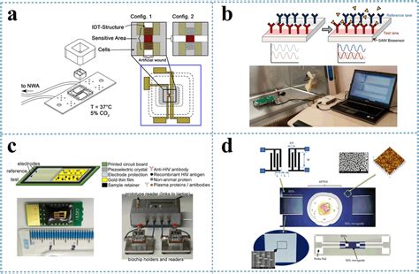 Sh Saw Devices For Cell Detection A Schematic Of The Experimental Download Scientific Diagram
