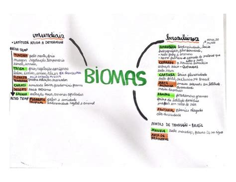 Mapa Mental Biomas Mundialbrasileiro Biomas Mapa Mental Resumos Enem