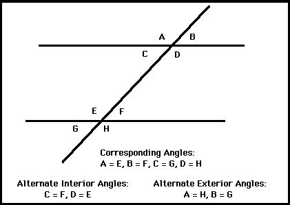 Parallel Lines Transversals Dail Price 2016 2017
