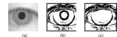 Stopping Function For The Geodesic Active Contours A Example Iris Download Scientific
