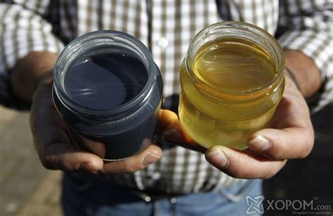 Хар зөгийн балыг юугаар хийдэг вэ Энэ төрөл нь үнэхээр ашиг тустай байж чадах уу