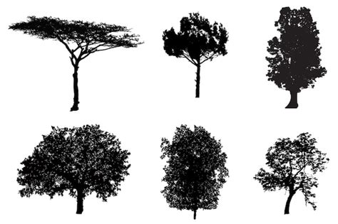 Vector árbol Vector Premium
