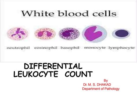 Differential Cell Count Pdf