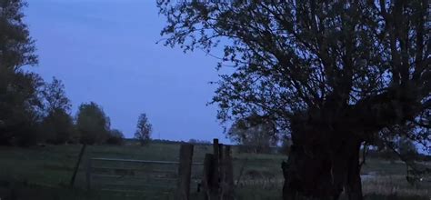 Dave On Twitter Thought I Would Listen For Gropper Or Tawny Owl On