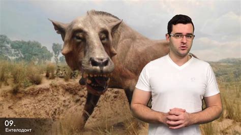 Топ 10 животни които се радваме че са изчезнали Youtube