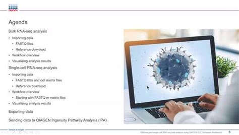 Qiagen Clc Genomics