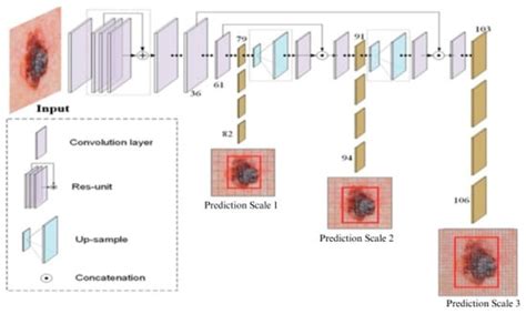 Skin Cancer Recognition Using Unified Deep Convolutional Neural Networks