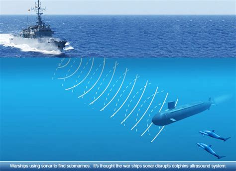 Cara Kerja Sensor Ultrasonik Rangkaian Aplikasinya Elang Sakti