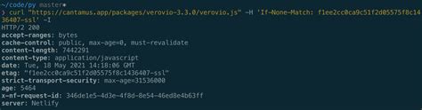 Server Sometimes Responds With 200 Even When If None Match Matches Etag Support Netlify