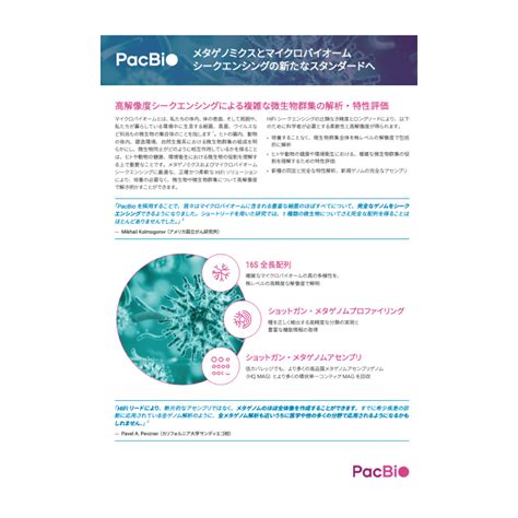 メタゲノミクス Pacbio