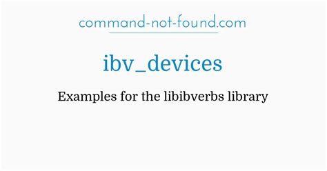 N Ibvdevices