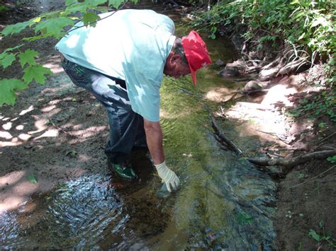 Step Understanding Elements Of Quality Assurance QA And Quality Control QC Protocols