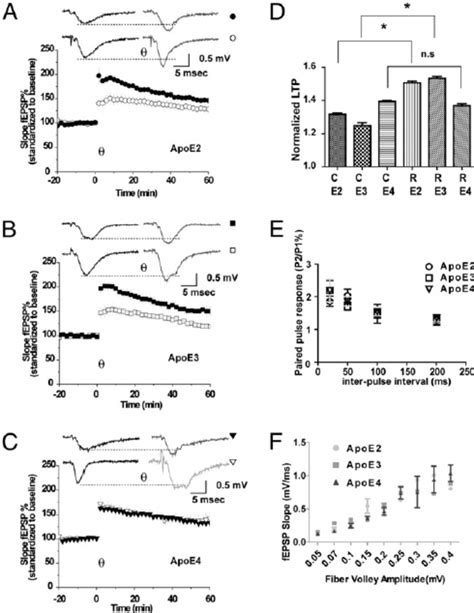 Apoe4 Inhibits Reelin Induced Creb Ser 133 Phosphorylation A Download Scientific Diagram