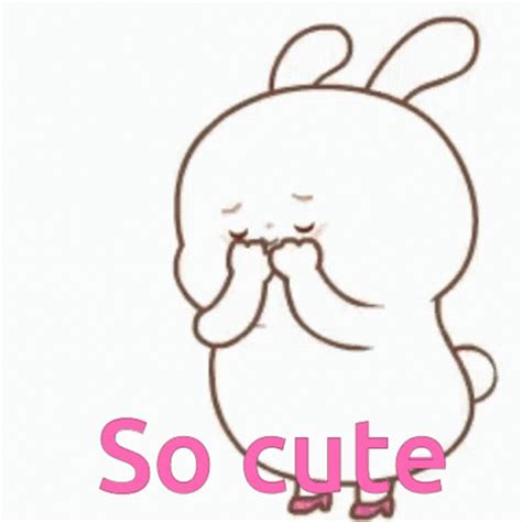 Cute  Cute Discover And Share S Cute  Cute Animated 