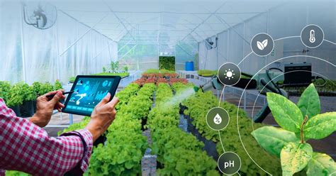 Precision Agriculture Revolutionizing Farming With Technology