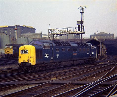 Class 55 Deltic British Rail Old Trains Diesel Locomotive