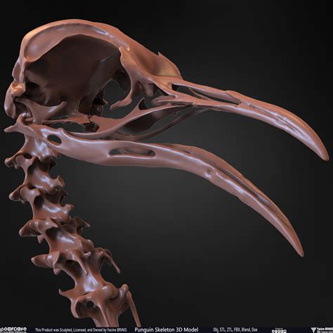 Yacine Brinis Collectible Studios Penguin Skeleton 3d Model
