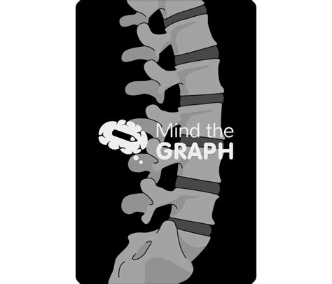 Free Computed Tomography Ct Scan Lumbar Spine Icons Symbols Pictures