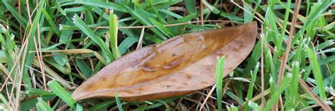 Caitlin Mathis Mathiscaitlin Twitter