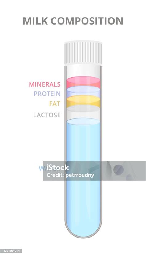 실험실 테스트 튜브의 우유 구성 우유 성분 물 유당 지방 단백질 미네랄 과학 인포그래픽 또는 계획 낙농장에 대한 스톡 벡터 아트 및 기타 이미지 Istock