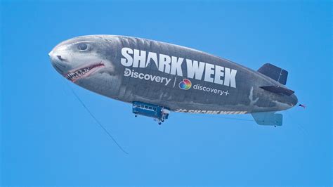 Shark Week Not Diverse Enough Study — Rt World News