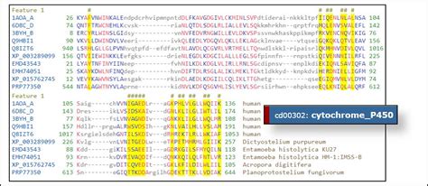 Conserved Domain Database Cdd Version 319 Is Now Available This National Center For