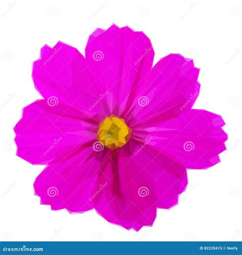 波斯菊桃红色花 向量例证 插画 包括有 波斯菊 新鲜 开花的 照亮 保险开关 花瓣 开花 自然 82228415