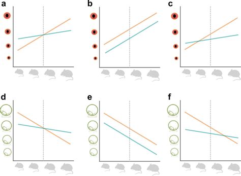 Examples Of Scenarios Of Sex Differences In The Allometric Relationship
