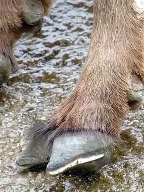 A 5 Minutes Power Nap Benedcit 150 Feet Up Video Dailymotion