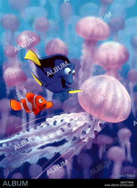 Buscando A Nemo De Cd Marcus Somos Primos