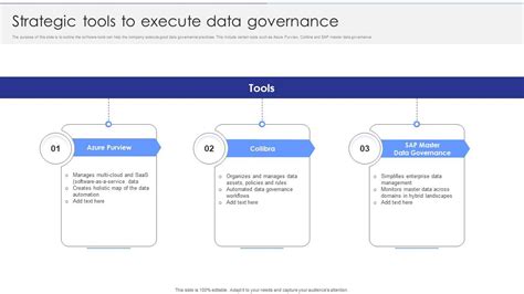 Strategic Tools To Execute Data Governance Ppt Example