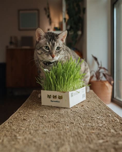 Sprosty Twins Sprosty Twins Added A New Photo