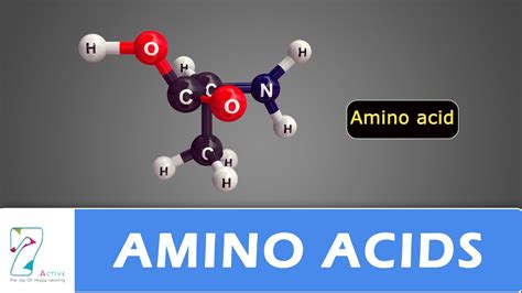 Amino Acid Structure 3d Amino Acid Selenocysteine 3d Molecular