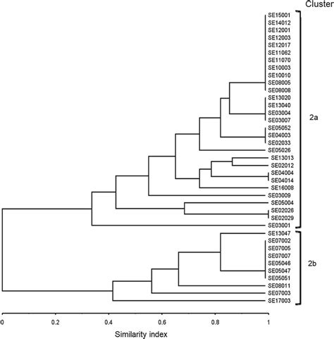Dendrogram Reconstructed From The Jaccard Coefficients And Upgma Download Scientific Diagram