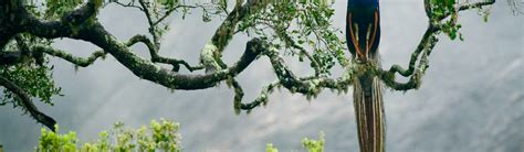 Mysql基础13—json数据类型 Rocky Linux Mysql基础13—json数据类型 Rocky Linux