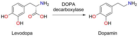 Decarboxylasehæmmere Lex