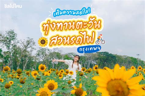 เติมความสดใสที่ทุ่งทานตะวันสวนรถไฟกรุงเทพฯกัน
